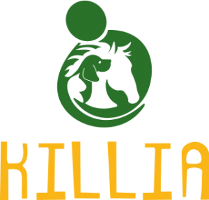 LA STORIA DI ASIA - Killia